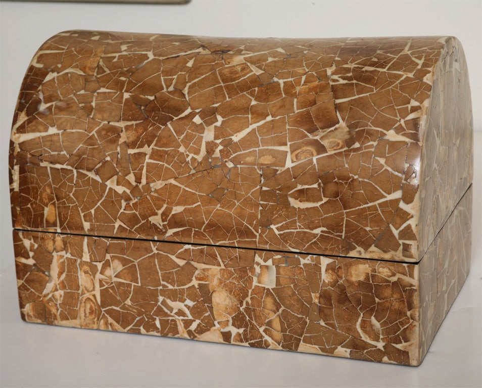 Domed Sliced Coconut Shell Box at 1stDibs