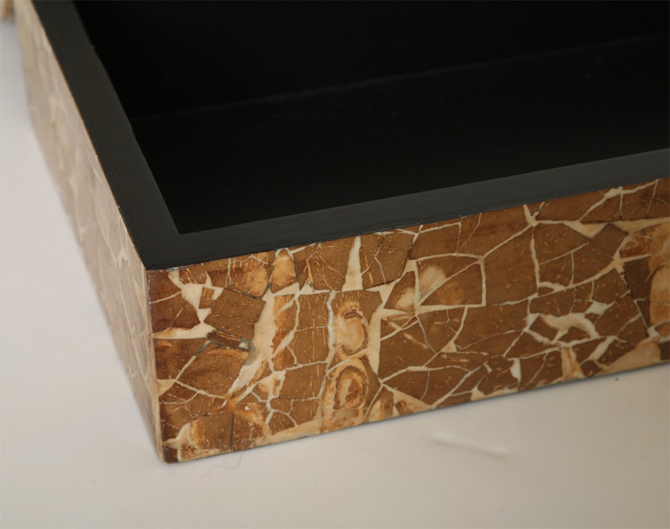 Domed Sliced Coconut Shell Box at 1stDibs