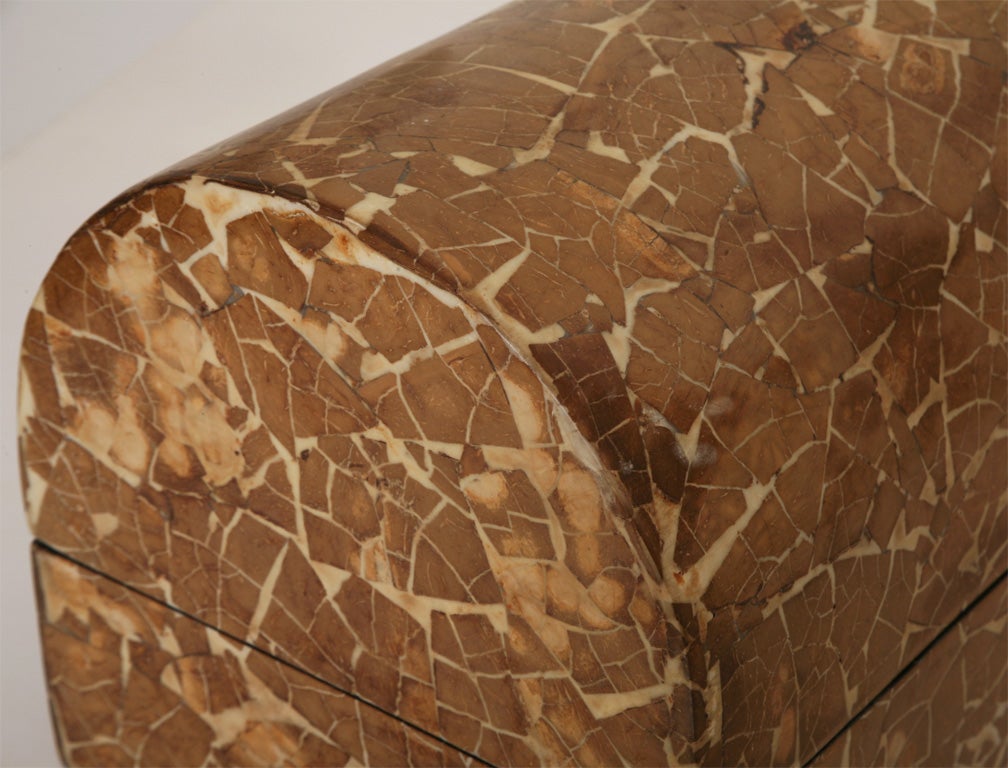Domed Sliced Coconut Shell Box at 1stDibs