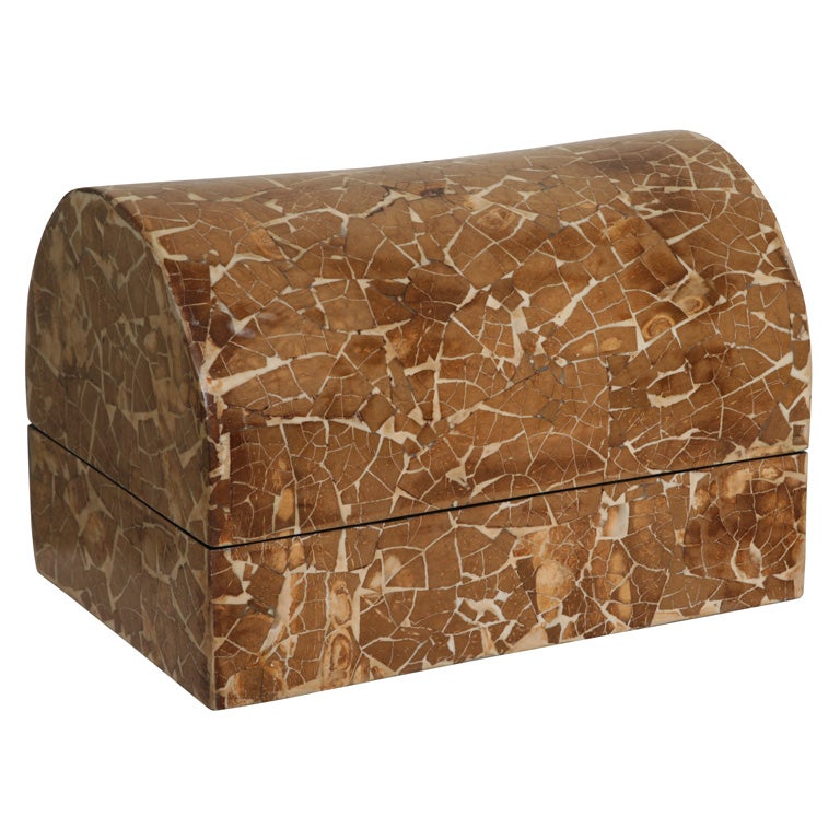 Domed Sliced Coconut Shell Box at 1stDibs