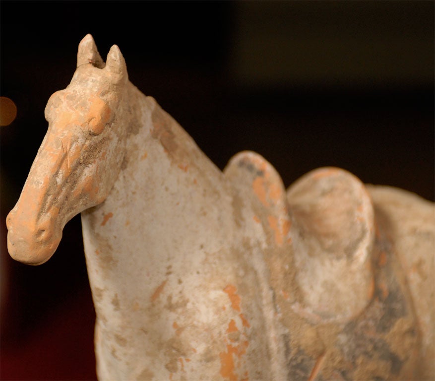 Chinese Tang Horse on stand from Western China For Sale at 1stDibs