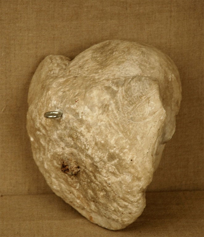 Marble Cherub Head For Sale at 1stDibs