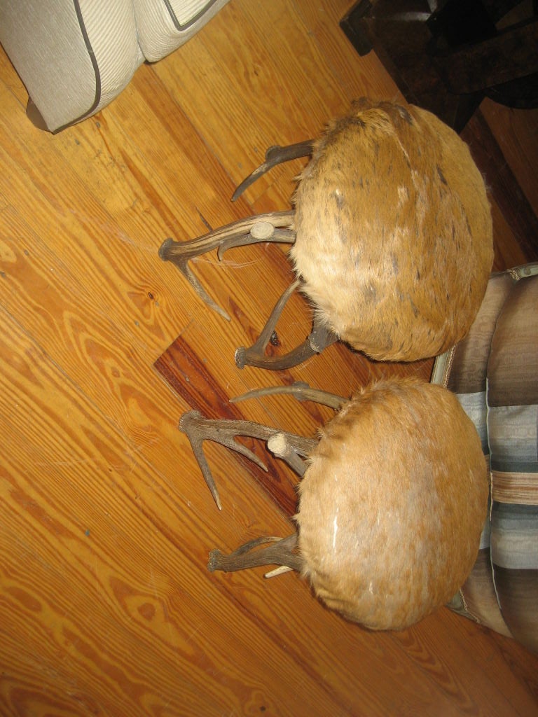 A pair of Austro German Circular Deer Antler Stools at 1stDibs