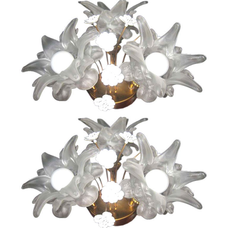 Pair Of Glass And Brass Flower Sconces For Sale At 1stdibs