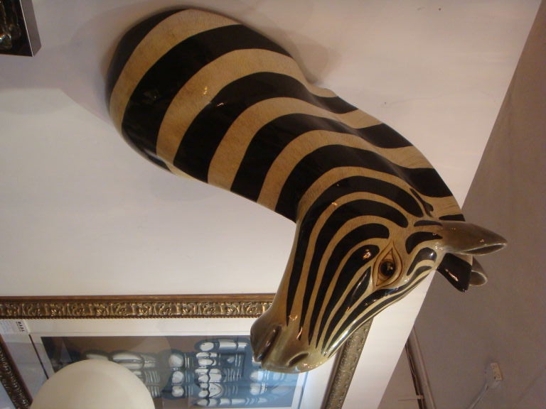 Zebra Wall Mounted Zebra Bust by Sergio Bustamante at 1stDibs