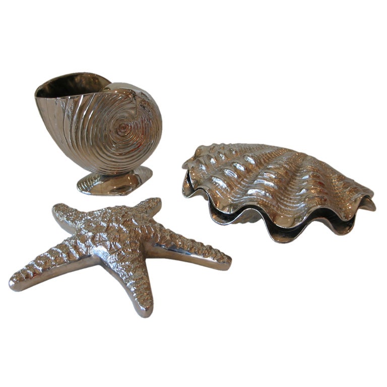Grouping of Nickel Silvered Metal Shells at 1stDibs