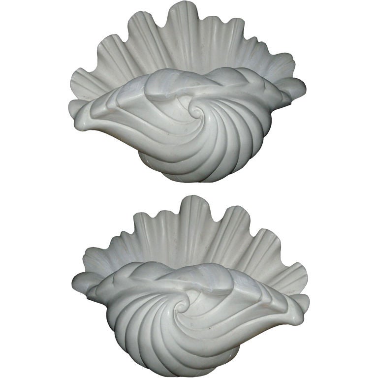 Four-Plaster Shell Wall Sconces For Sale at 1stDibs