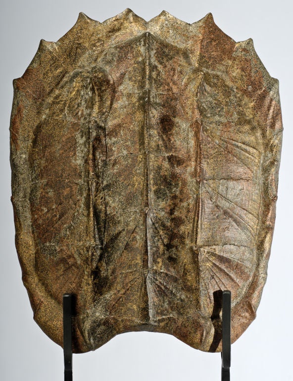 Cast Resin Tortoise Shell On Wrought Iron Stand at 1stDibs