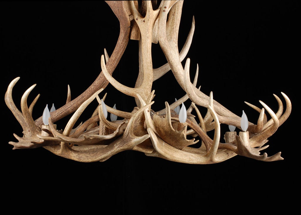 European Antique Deer and Moose Antler Light Fixture at 1stDibs