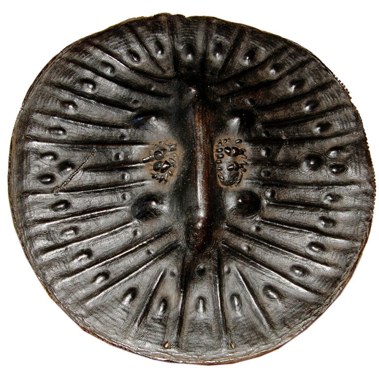 Irassi Water Buffalo Shield from Ethiopia at 1stDibs