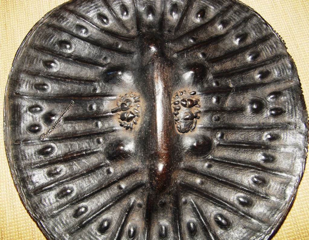 Irassi Water Buffalo Shield from Ethiopia at 1stDibs