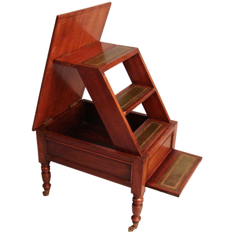 Irish metamorphic library steps at 1stDibs