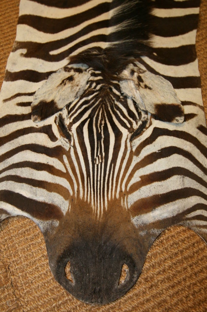 Zebra Pelt For Sale at 1stDibs