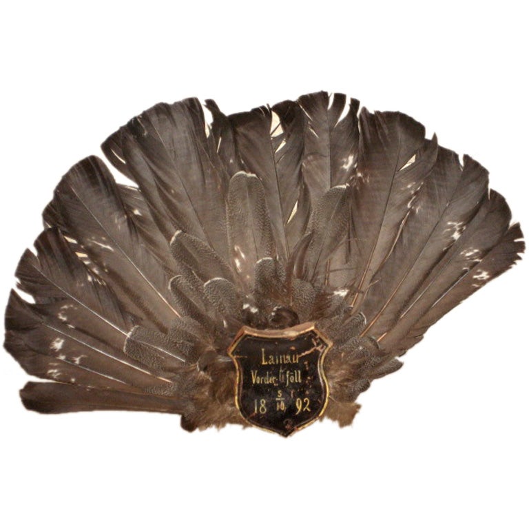 Turkey Feather Fan at 1stDibs