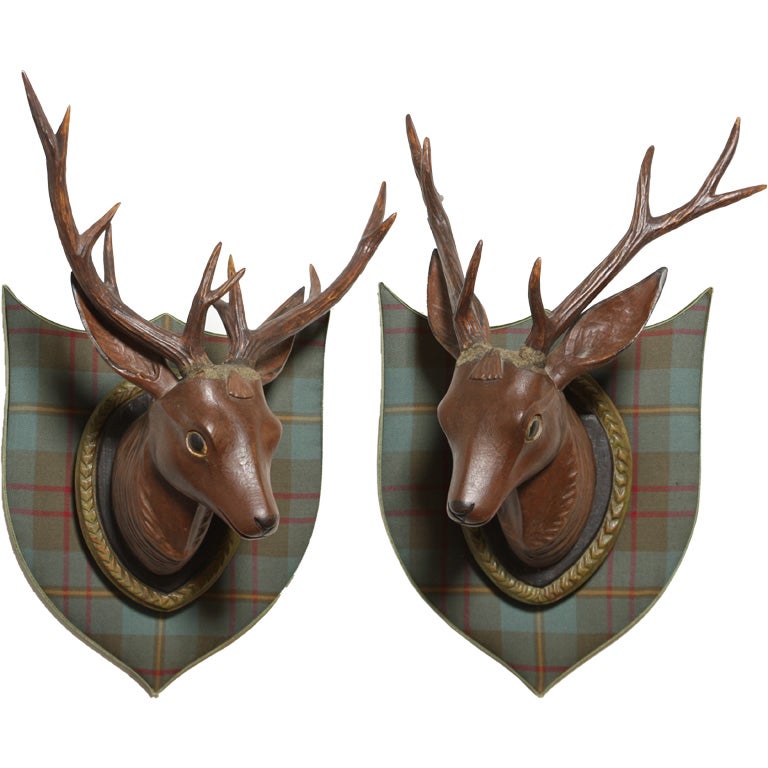 A Pair of Carved 19th Century Trophy Heads at 1stDibs