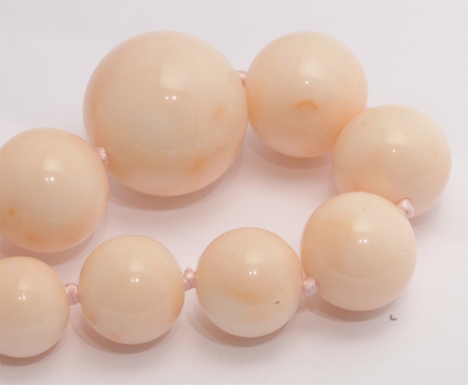 Light Pink Coral Necklace at 1stDibs