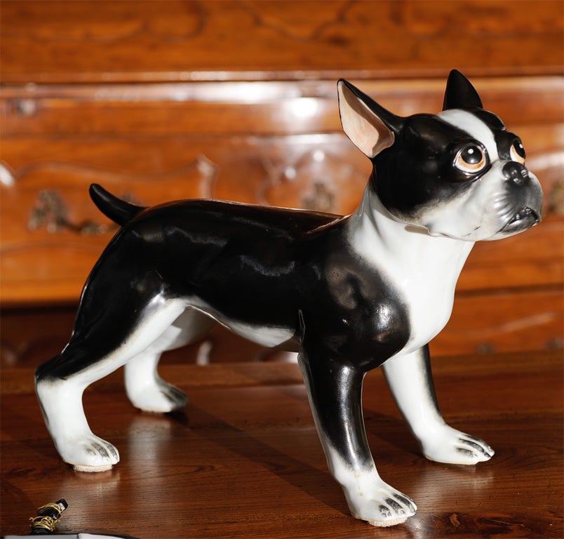 Porcelain Boston Terrier at 1stDibs
