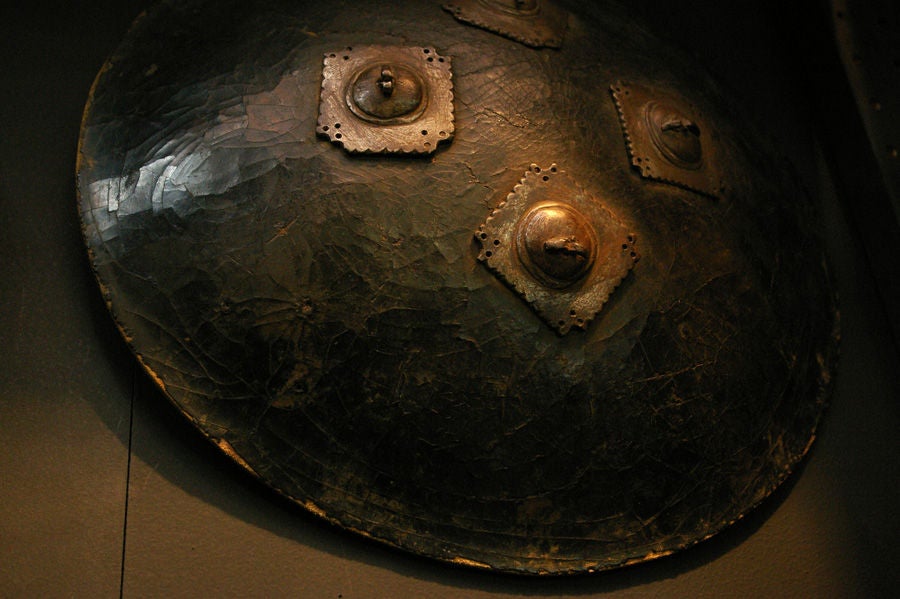 African Animal Skin Shield at 1stDibs