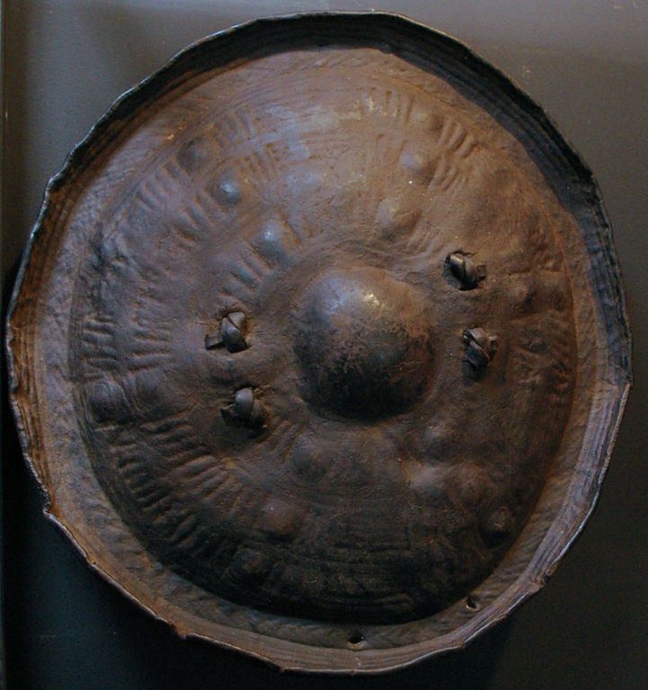 African Animal Skin Shield at 1stDibs