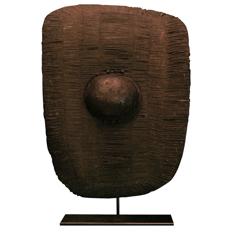 African Animal Skin Shield at 1stDibs