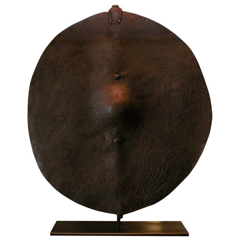 African Animal Skin Shield at 1stDibs