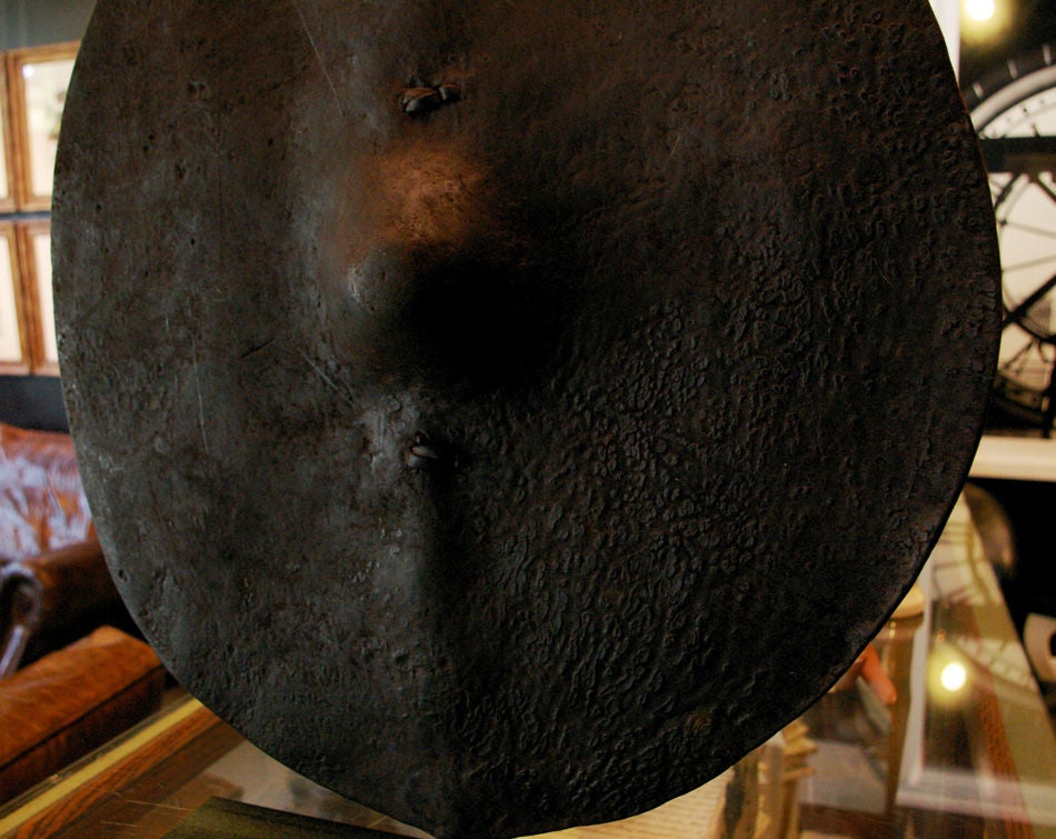 African Animal Skin Shield at 1stDibs