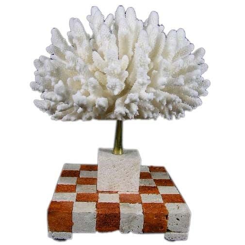 Finger Coral Topiary Mounted on a Checkerboard Coquina Base at 1stDibs