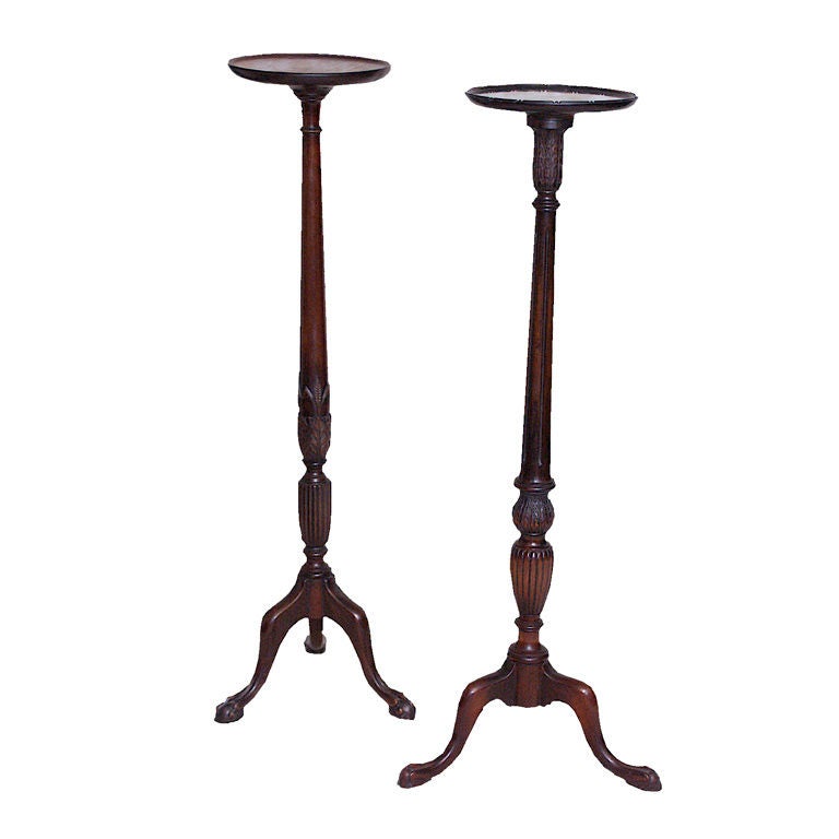 Two Carved Mahogany Fern Stands at 1stDibs