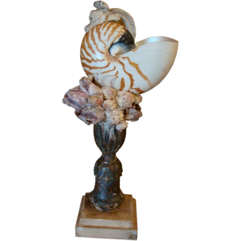 19C Italian Wooden Fragment with Shell at 1stDibs
