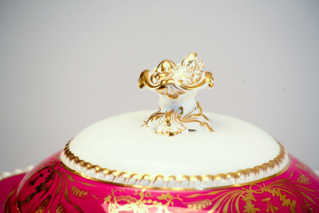 Magnificent 19th C Coalport Raspberry Ground Soup Tureen at 1stDibs