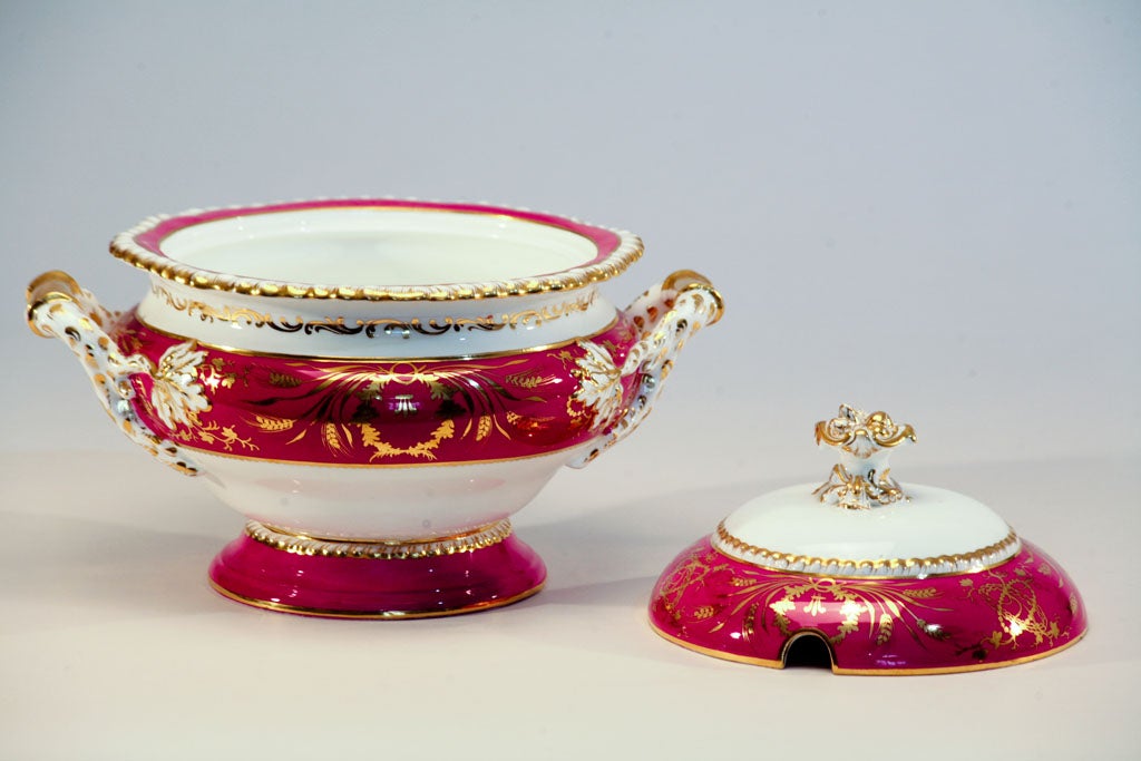 Magnificent 19th C Coalport Raspberry Ground Soup Tureen at 1stDibs