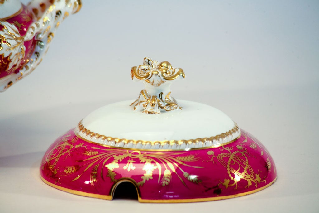 Magnificent 19th C Coalport Raspberry Ground Soup Tureen at 1stDibs
