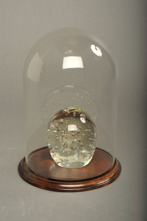 Victorian Glass Display Dome at 1stDibs
