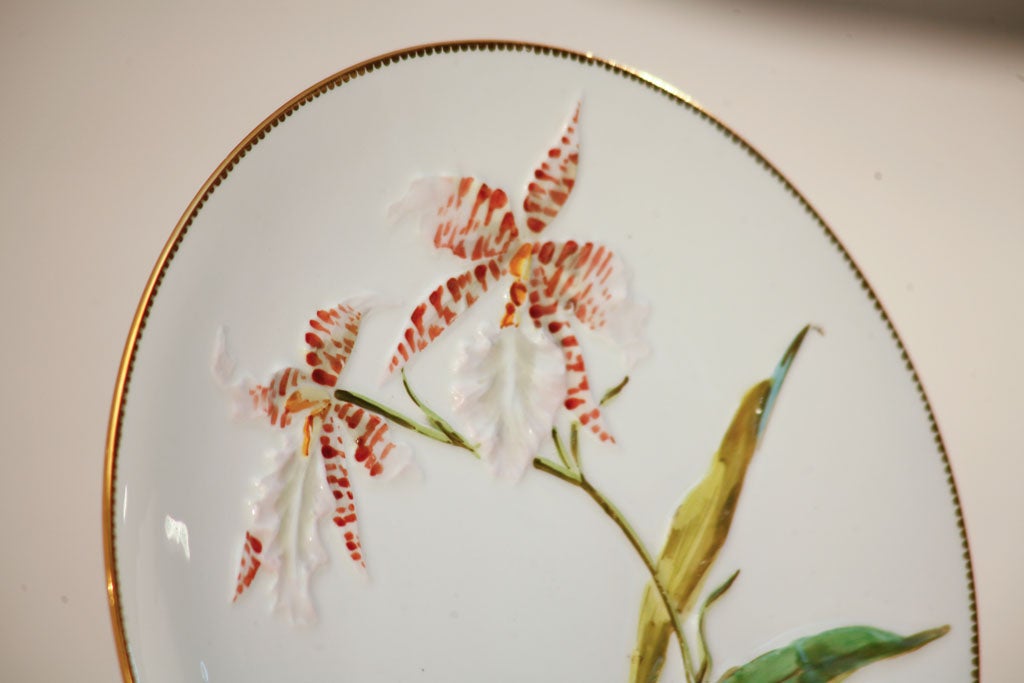 Set of 12 Bodley Orchid Plates-Raised Hand Painted Flowers at 1stDibs