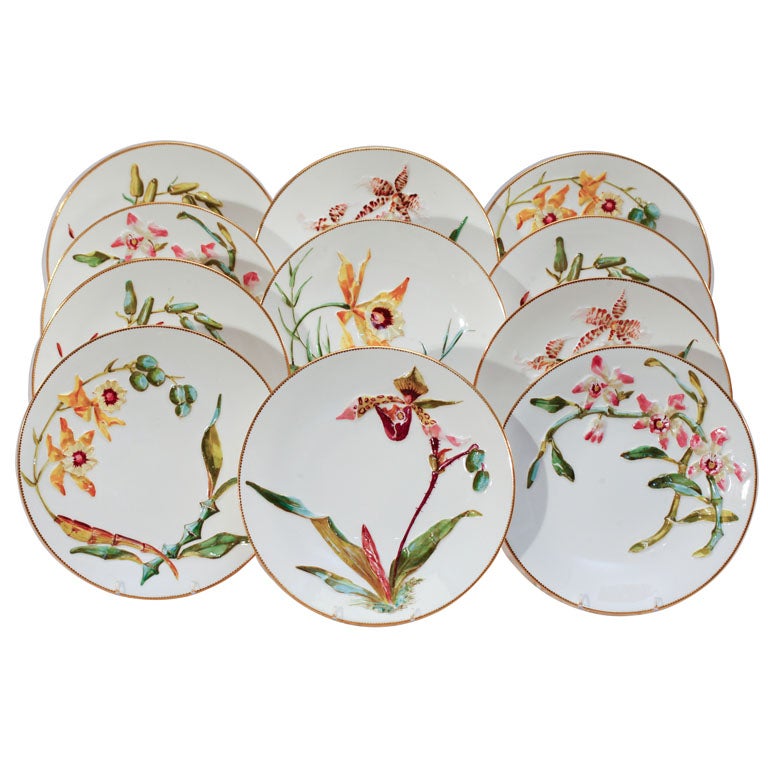 Set of 12 Bodley Orchid Plates-Raised Hand Painted Flowers at 1stDibs