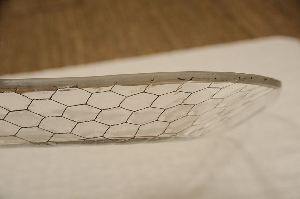 Clear Italian Large Lucite Tray with Embedded Screen at 1stDibs ...