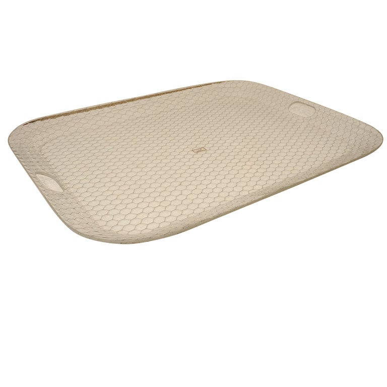 Clear Italian Large Lucite Tray with Embedded Screen at 1stDibs ...