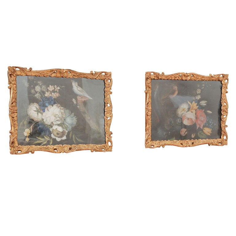Pair of George III embossed Bird Pictures Samuel Dixon For Sale at 1stDibs