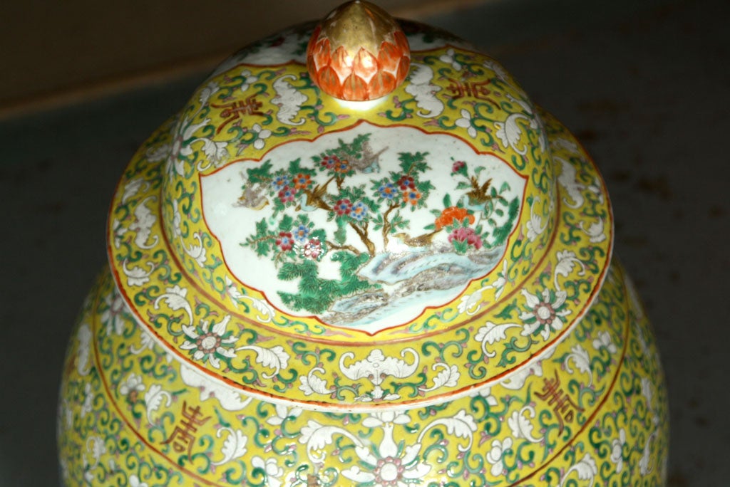 Covered Chinese Jar at 1stDibs