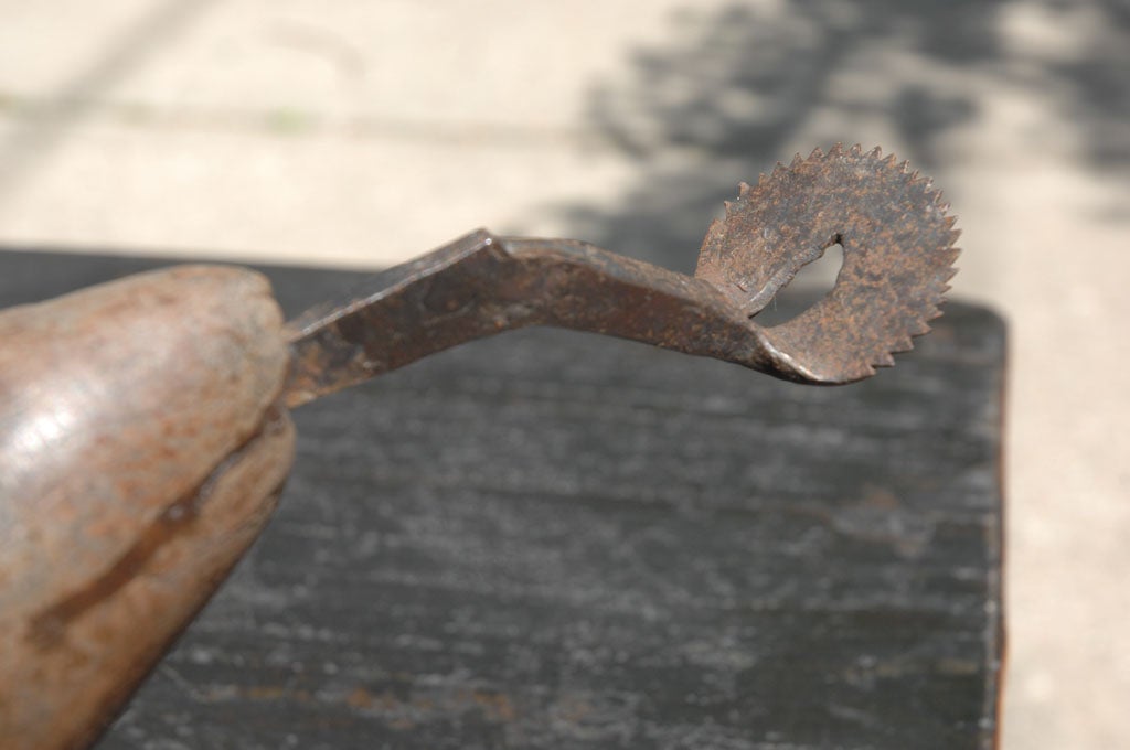 Coconut Scraper at 1stDibs