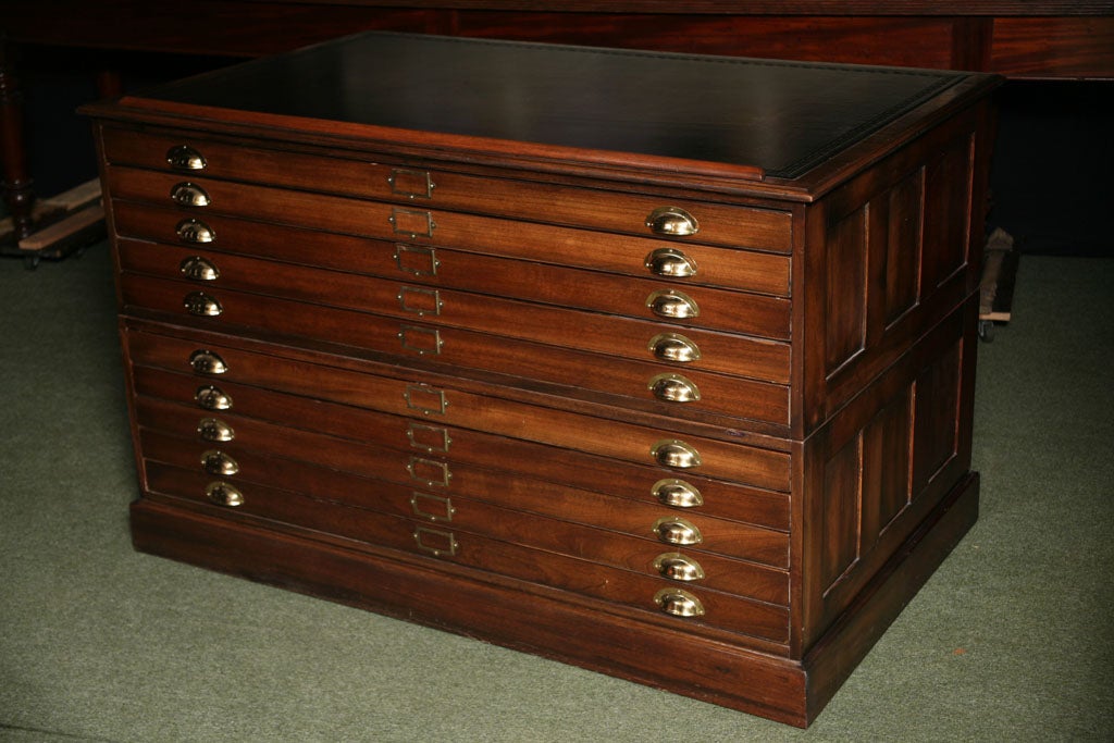A 10 drawer map or folio chest at 1stDibs
