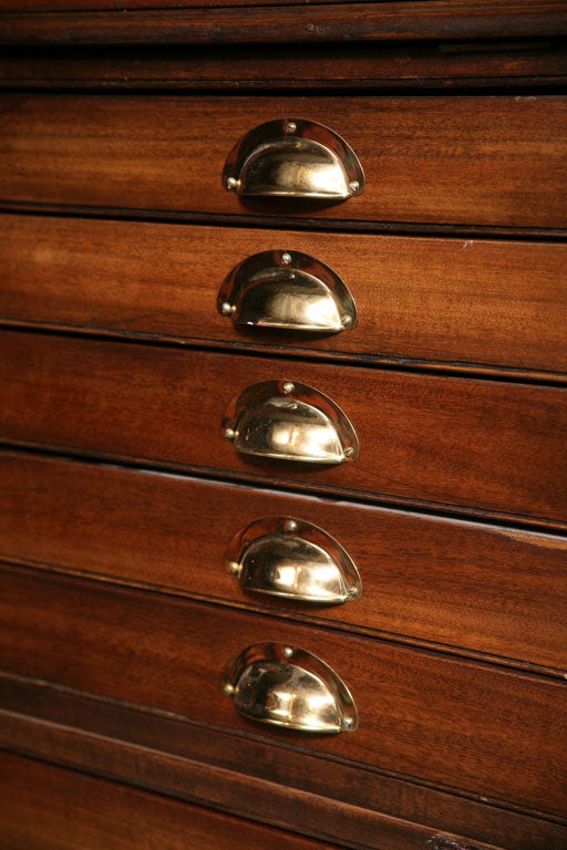 A 10 drawer map or folio chest at 1stDibs