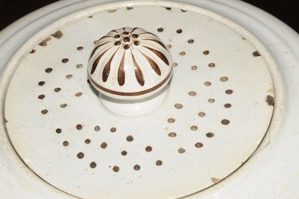 English Leeches Jar (With Pierced Lid) - A Medical Rarity! at 1stDibs ...