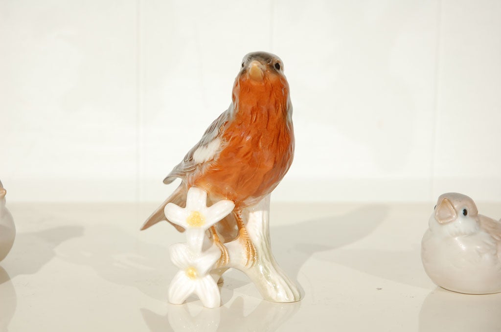 Collection of 4 German Ceramic Birds at 1stDibs