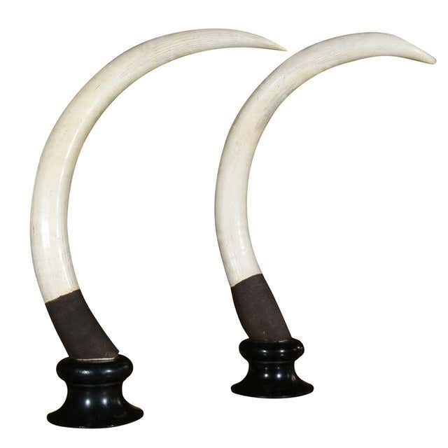 Vintage Elephant Tusks 4 For Sale On 1stdibs