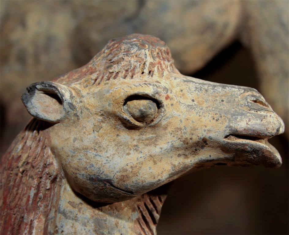 Chinese Tang Dynasty Painted Pottery Camels For Sale at 1stDibs