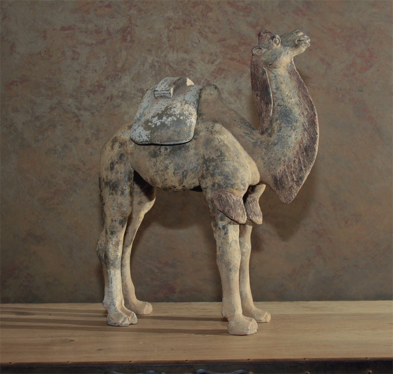 Chinese Tang Dynasty Painted Pottery Camels For Sale at 1stDibs