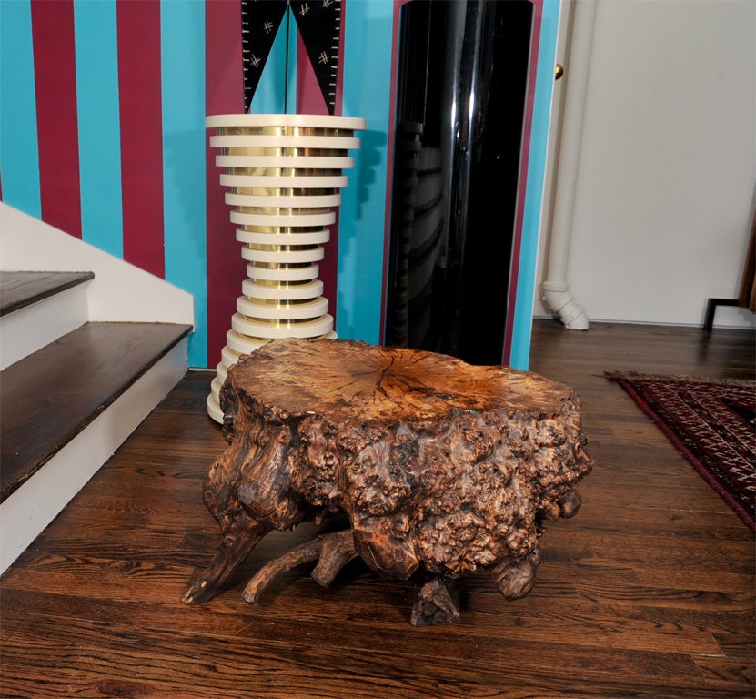 Olive Wood Tree Stump Table at 1stDibs