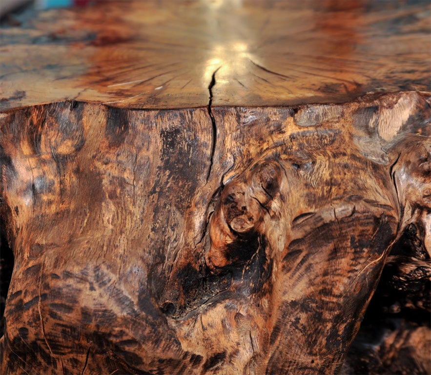 Olive Wood Tree Stump Table at 1stDibs