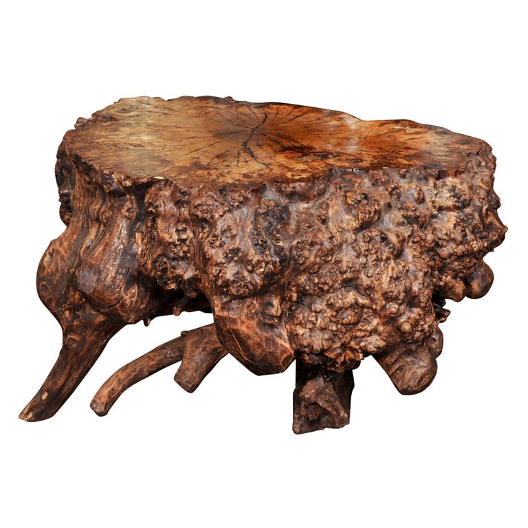 Olive Wood Tree Stump Table at 1stDibs